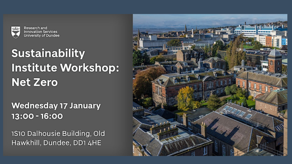 Sustainability Institute Workshop: Net Zero | Interface Online